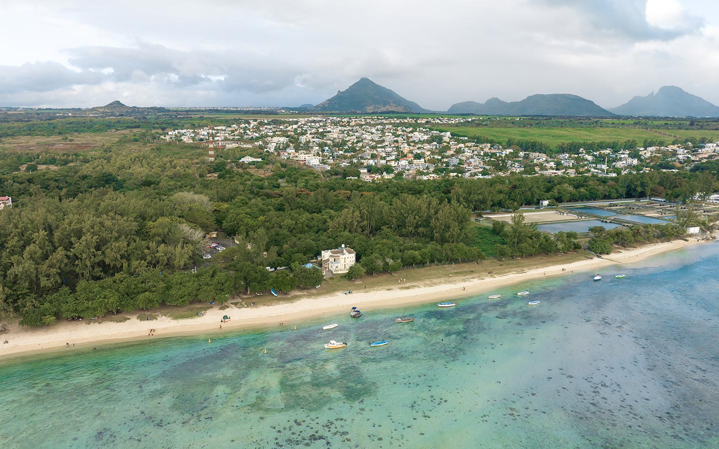 Albion - Mauritius Now (FR)