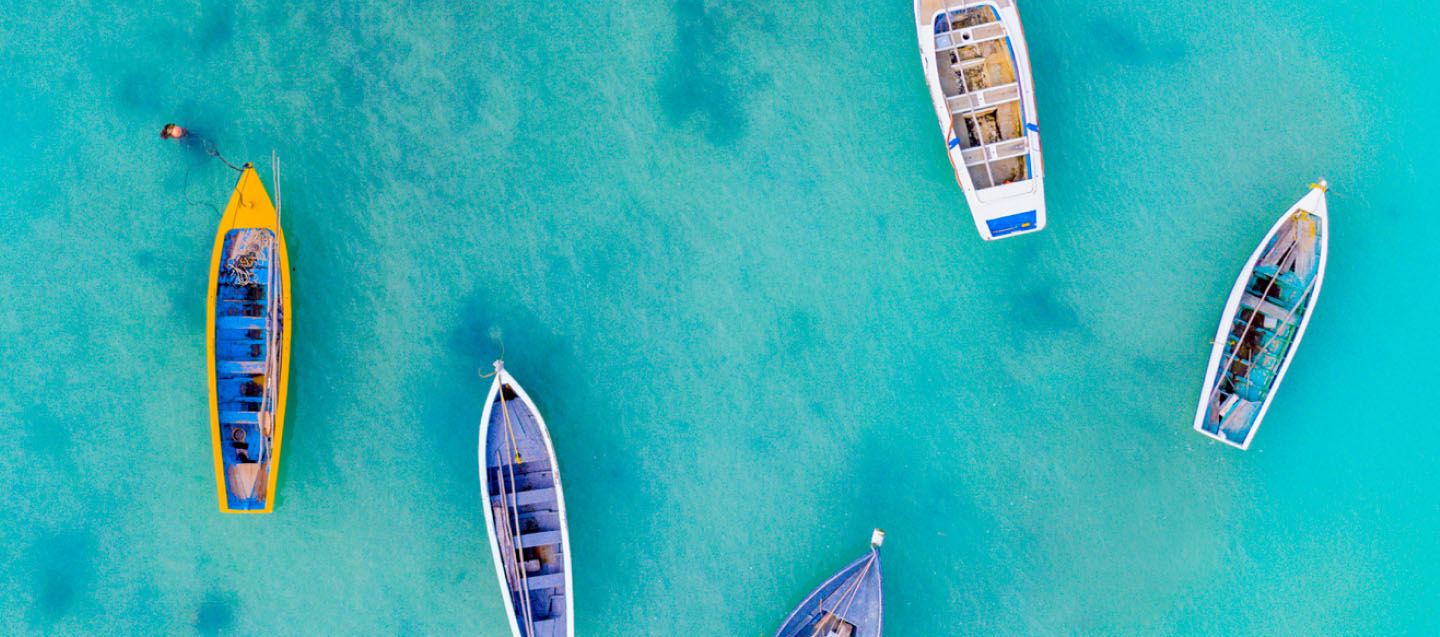 Website Policy – Mauritius