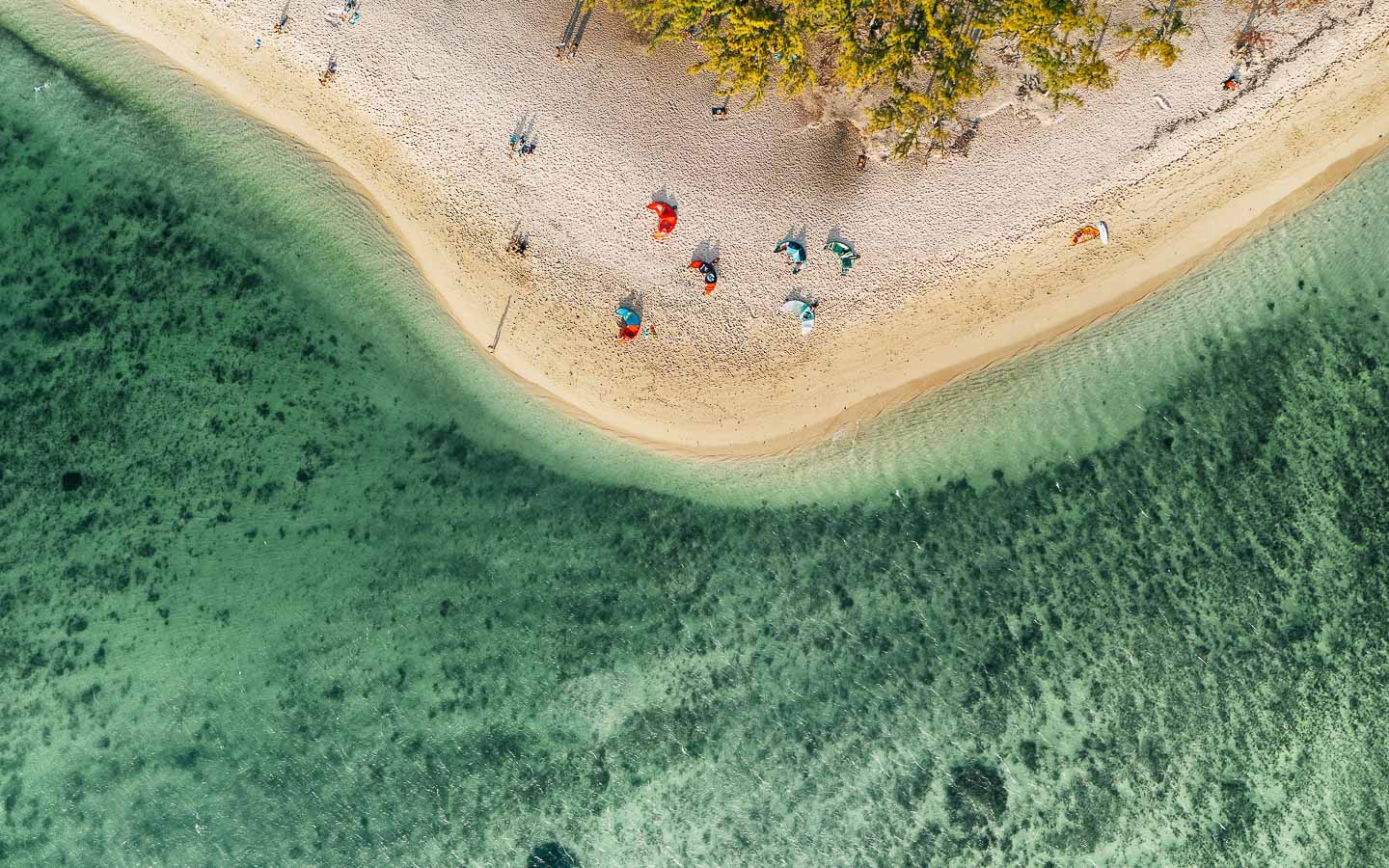 Find the latest Sport Festival happening here!