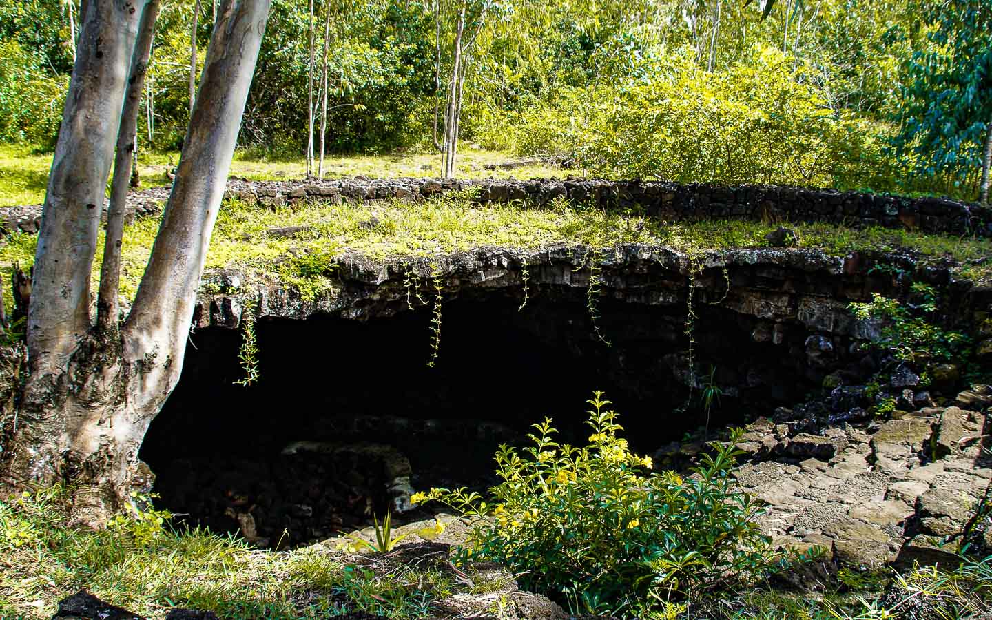 Roches Noires Lava Tubes: A Natural Wonder
